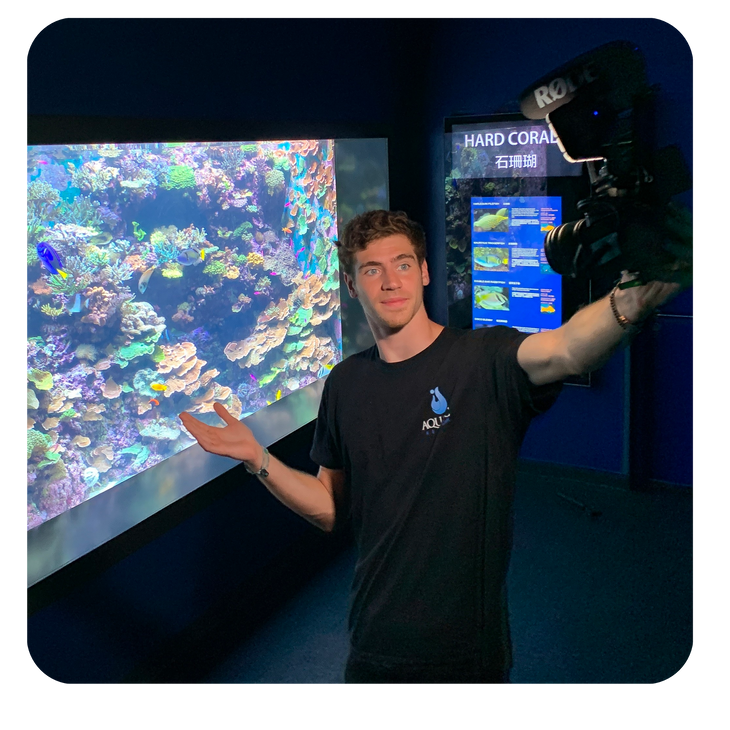 CoralFish12g Official Website